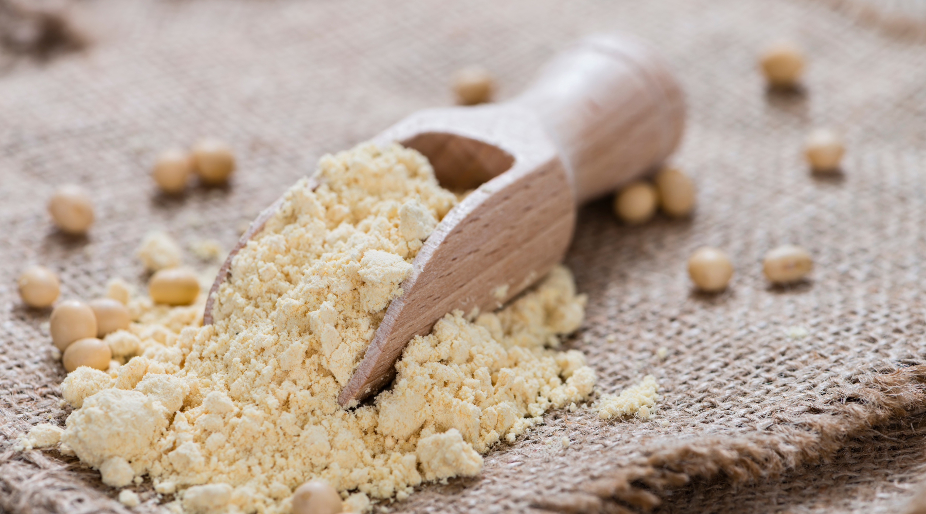 The Myths About Soy – EquaCare