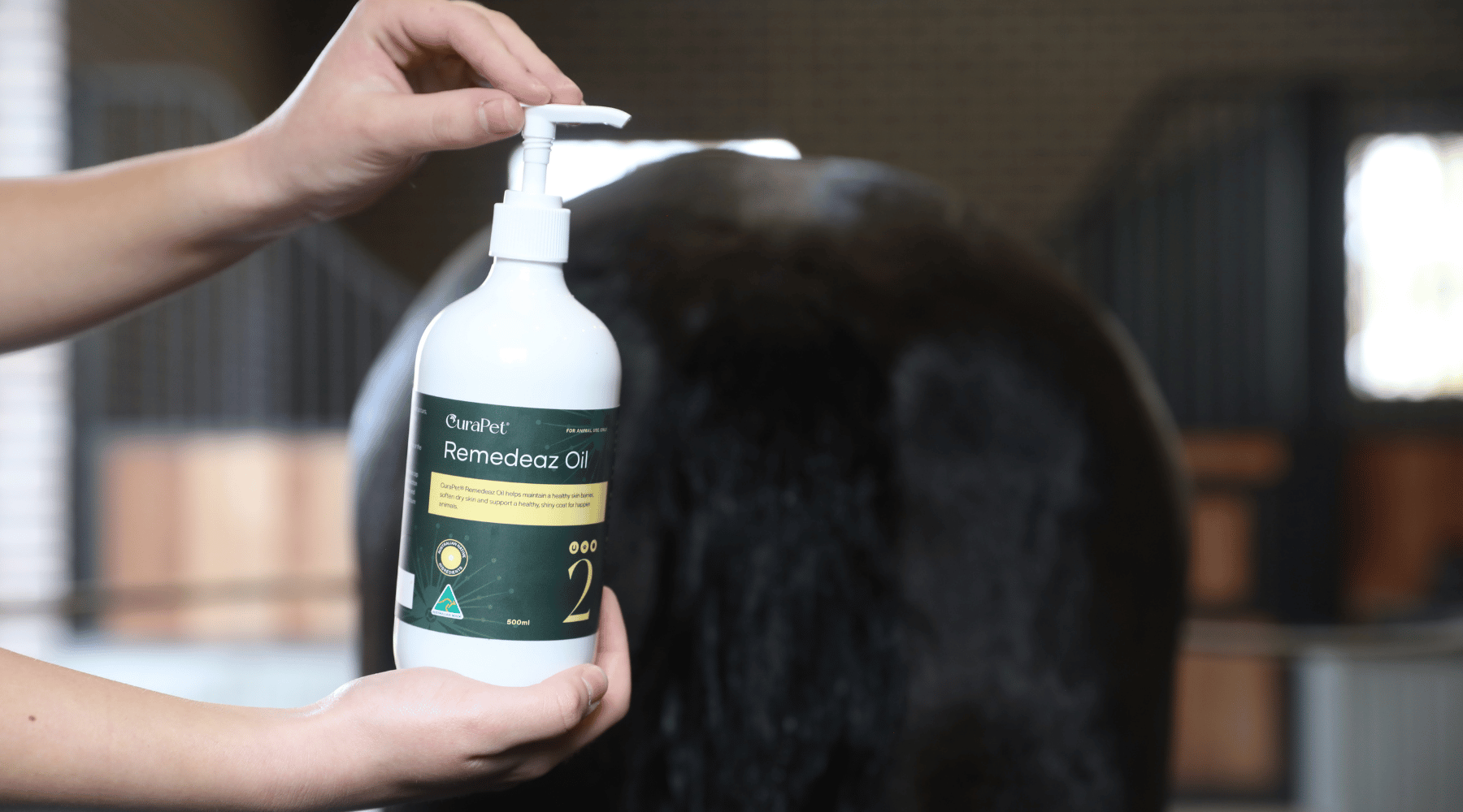 What to do about Queensland Itch? – EquaCare