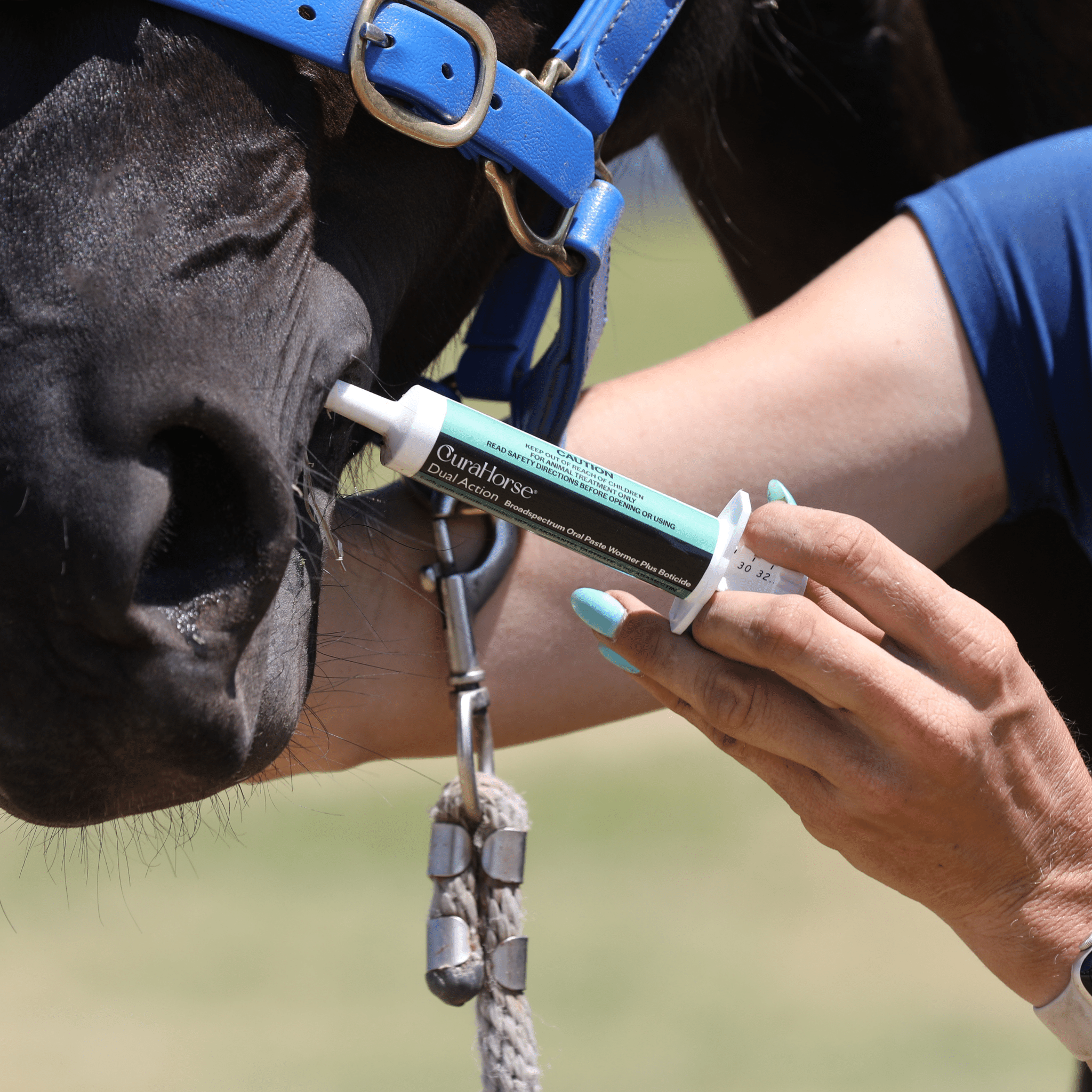 CuraHorse® Wormers – EquaCare