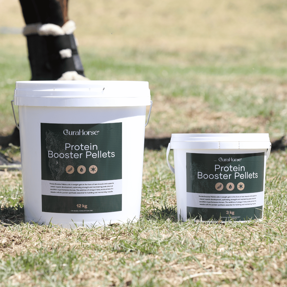 CuraHorse Protein Booster Pellets – EquaCare
