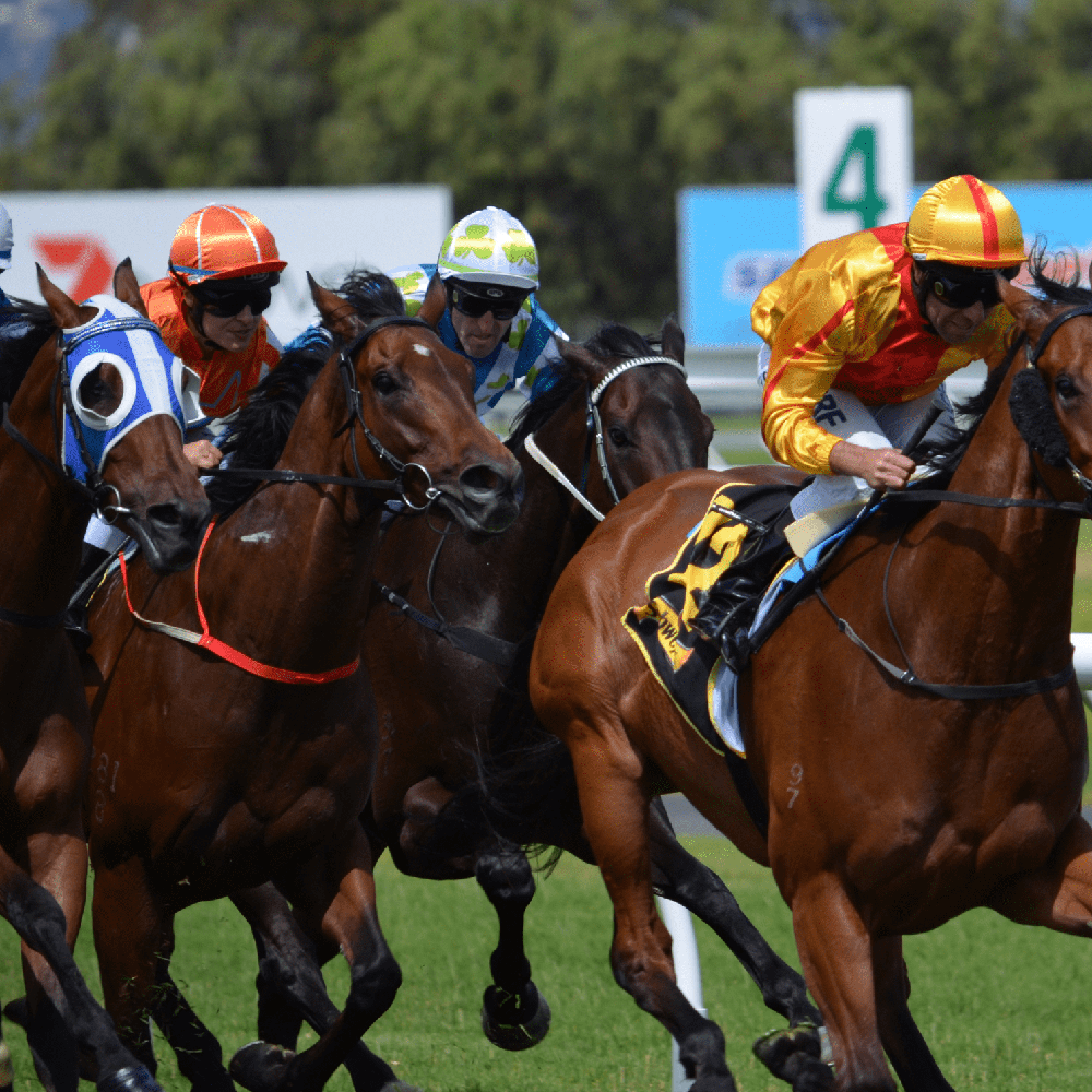 EquaCare Custom Mix Product Range