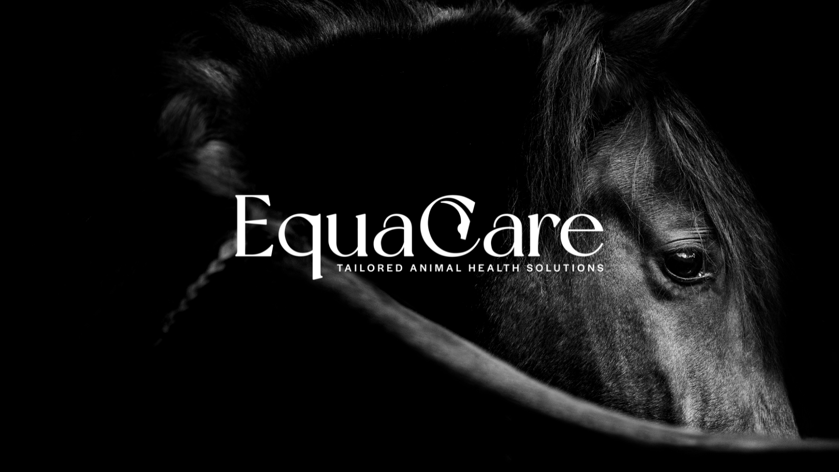 Products – EquaCare