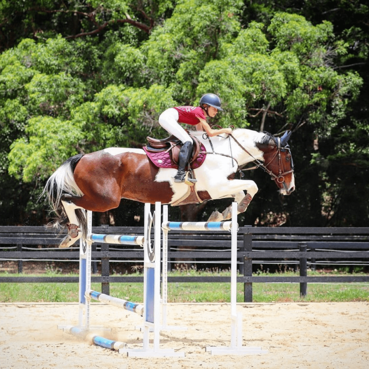 EquaCare Ambassadors